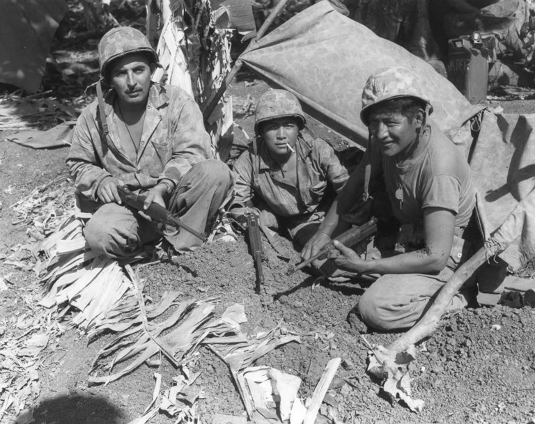 Windtalkers – the Navajo Code Talkers of the Second World War | Dorinda ...